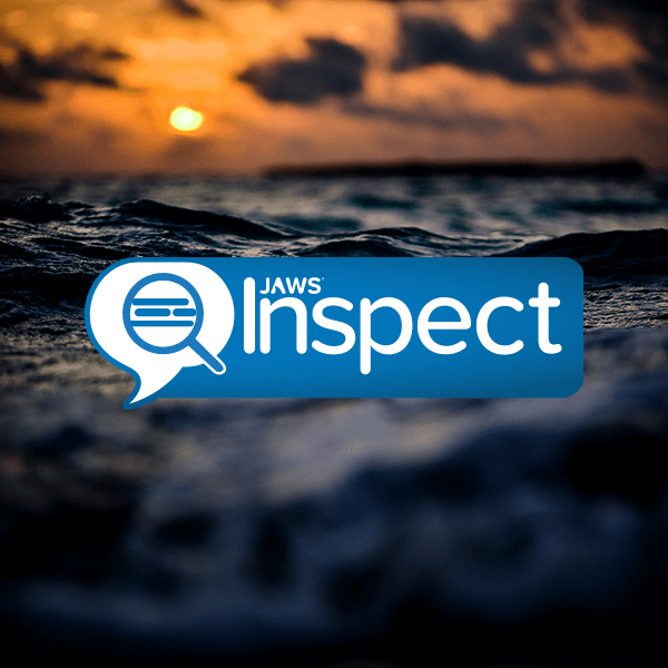 Accessibility Testing Simplified with JAWS Inspect - Equal Entry Accessibility Testing Simplified with JAWS Inspect - Equal Entry