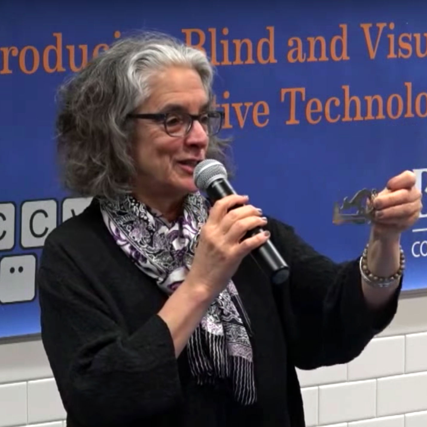Accessibility NYC Meeting Recap: Two Decades of Disability Rights ...