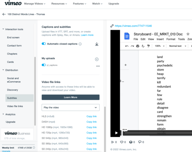 Automatic Captions: Our Experiments and Best Practices - Equal Entry